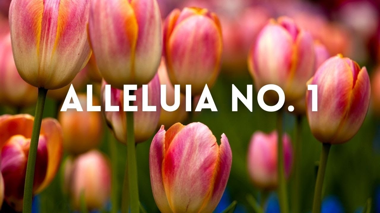 Alleluia, Alleluia, Give Thanks to the Risen Lord - Donald Fishel | Shazam Alleluia, Alleluia, Give Thanks to the Risen Lord - Donald Fishel | Shazam