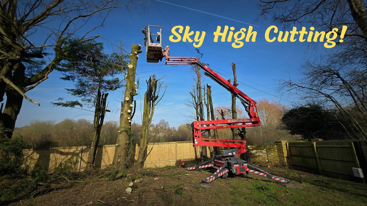 SKY HIGH CUTTING: Part 2 OF TREE CLEARANCE JOB - YouTube