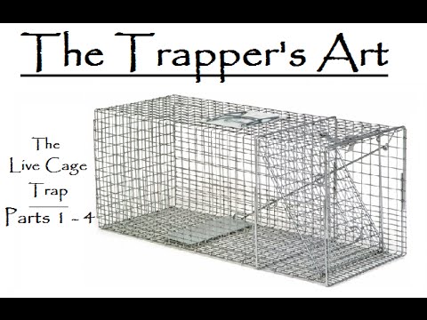Modifying your live cage trap - YouTube