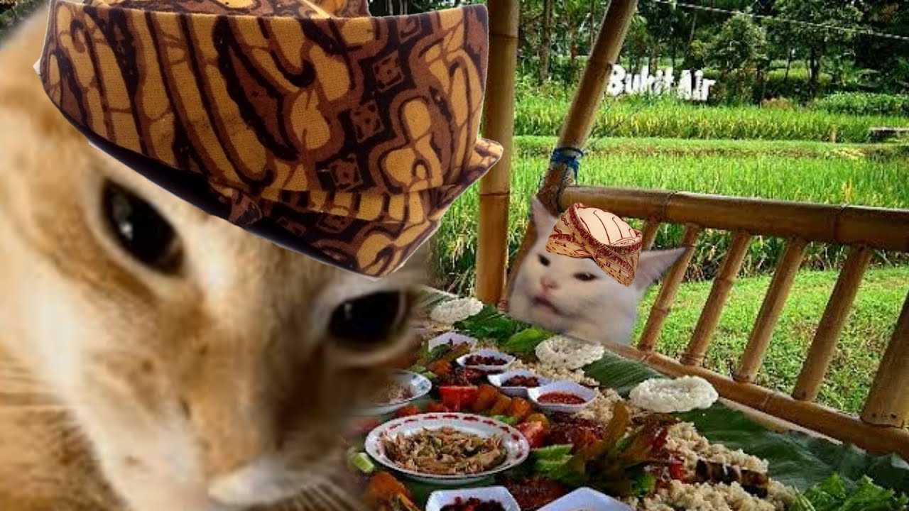 KUCING SUNDA - YouTube