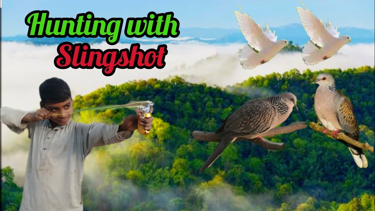 Hunting With Slingshot Hunting In Pakistan Best Hunter of Pakistan ...