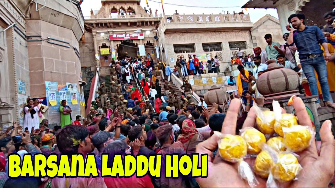 Barsana Laddu Holi 2023 | Radha Rani Mandir Laddu Holi #barsanamandir # ...
