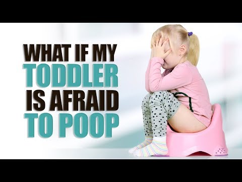 What if my Toddler is Afraid to Poop?