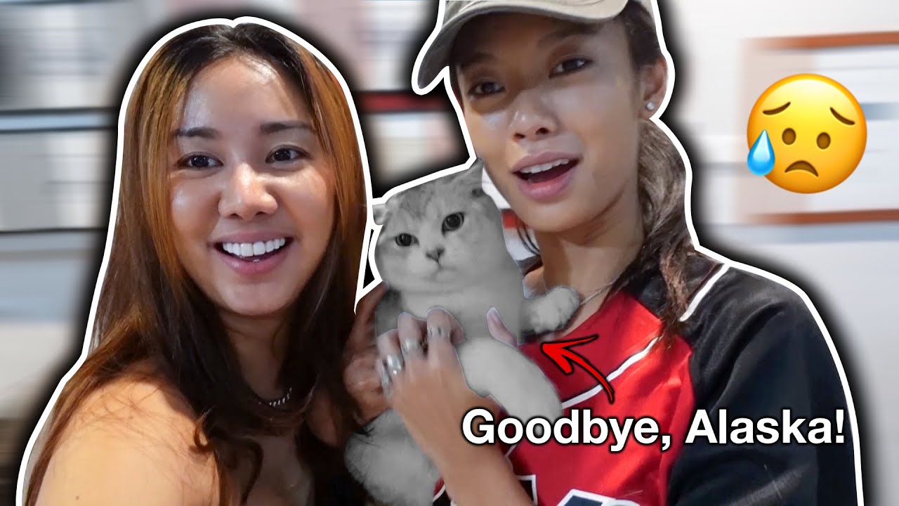 (ENG SUBBED) ALASKA SI KUCING PHOTOSHOOT?! 😂🥺 // ALASKA CAT HAD A ...