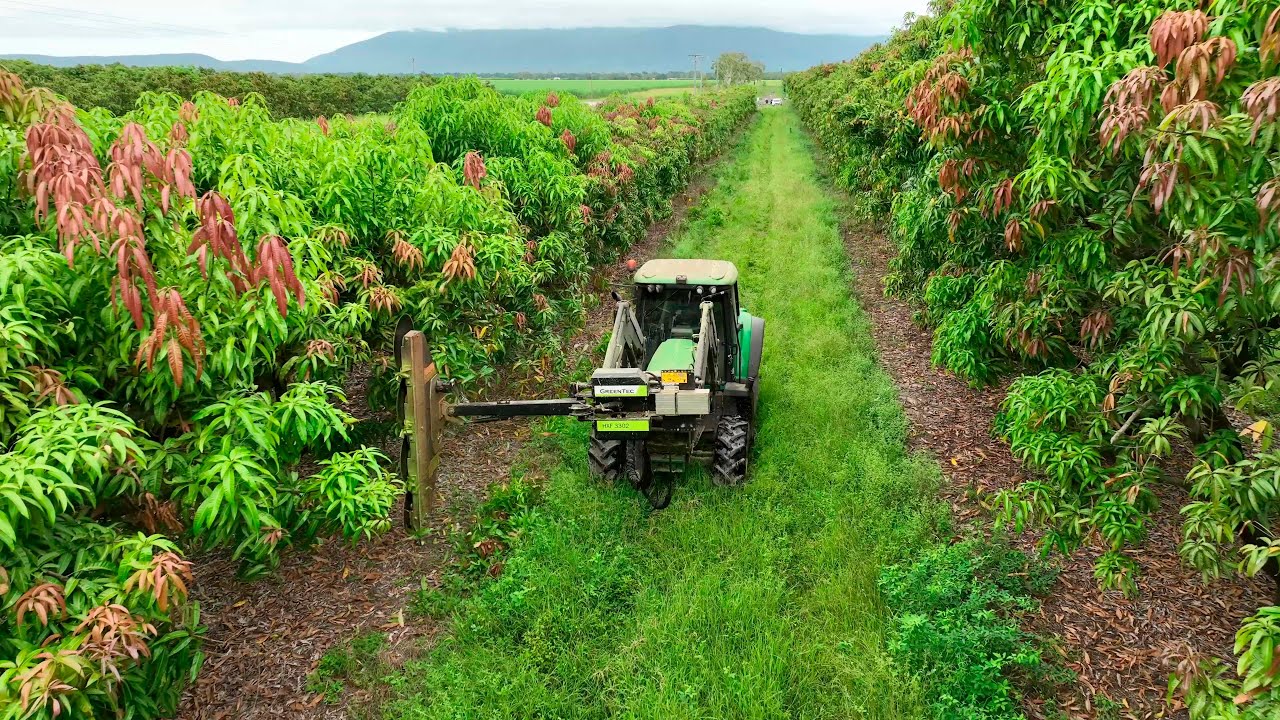 Orchard Pruner For Tractor And Loader | GreenTec LRS 2402 - YouTube
