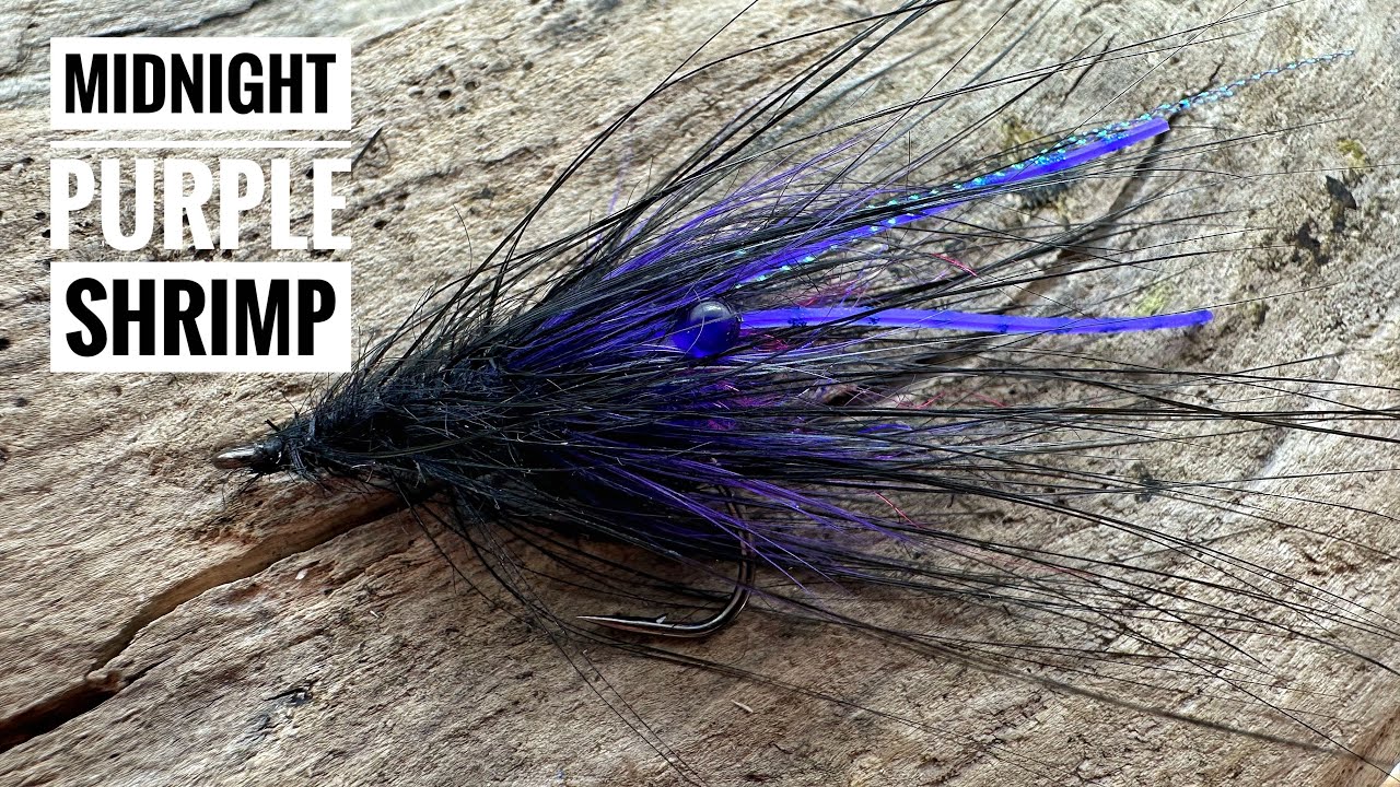 MIDNIGHT PURPLE SHRIMP. SPEY SHRIMP FOR NIGHT FISHING 🎣💯 - YouTube