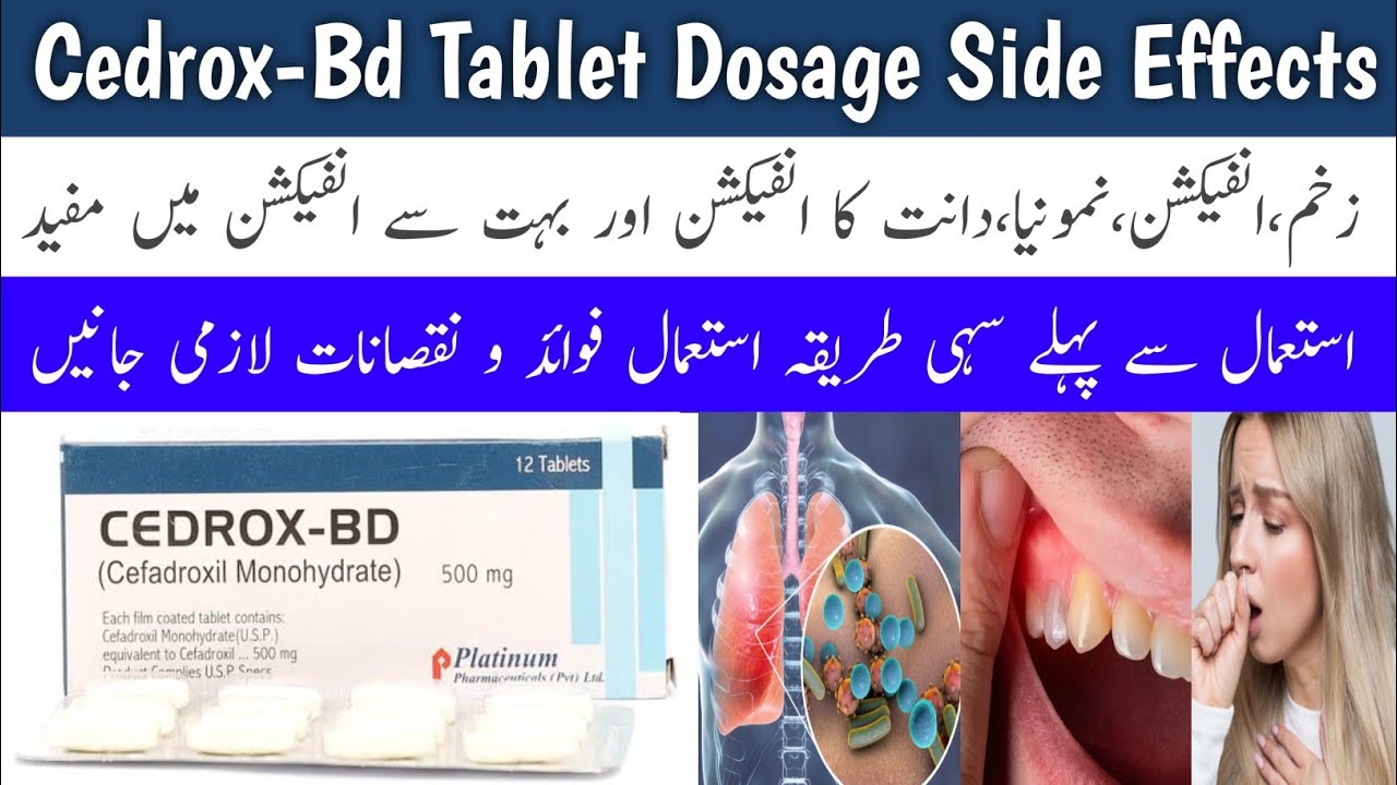 Cedrox Bd Tablet 500 mg Uses In Urdu | Cedrox Bd For Tooth In Urdu ...