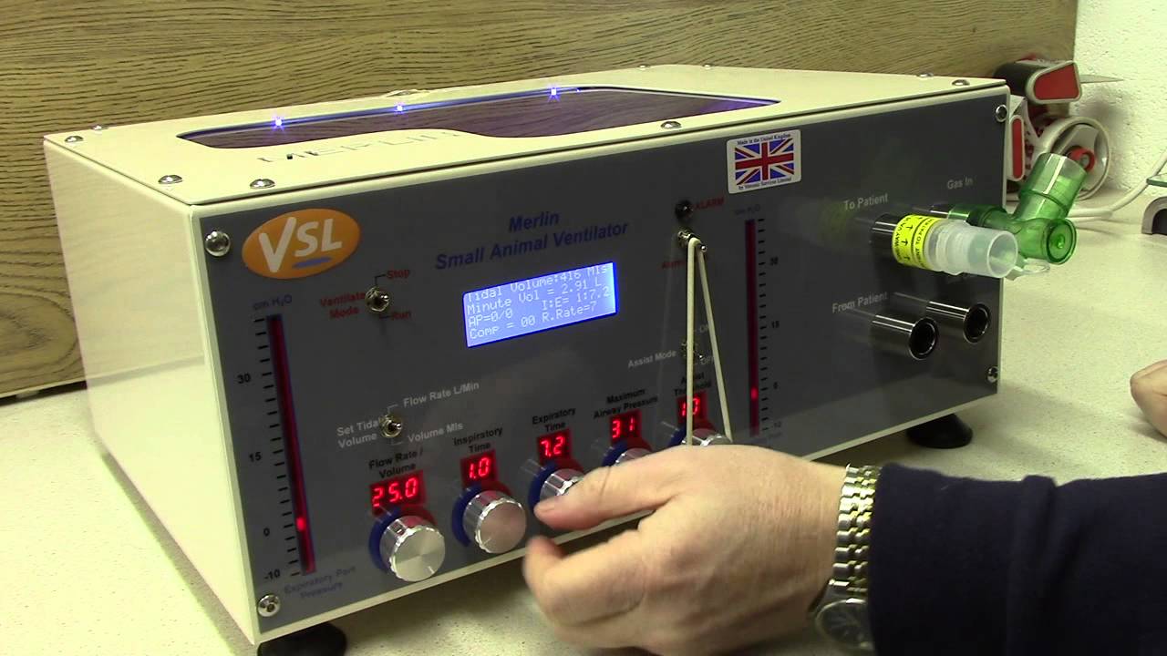 Merlin Cleaning Procedure - YouTube