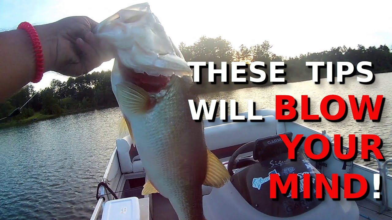 How PROS Fish A Texas Rig! The COMPLETE Guide! - YouTube