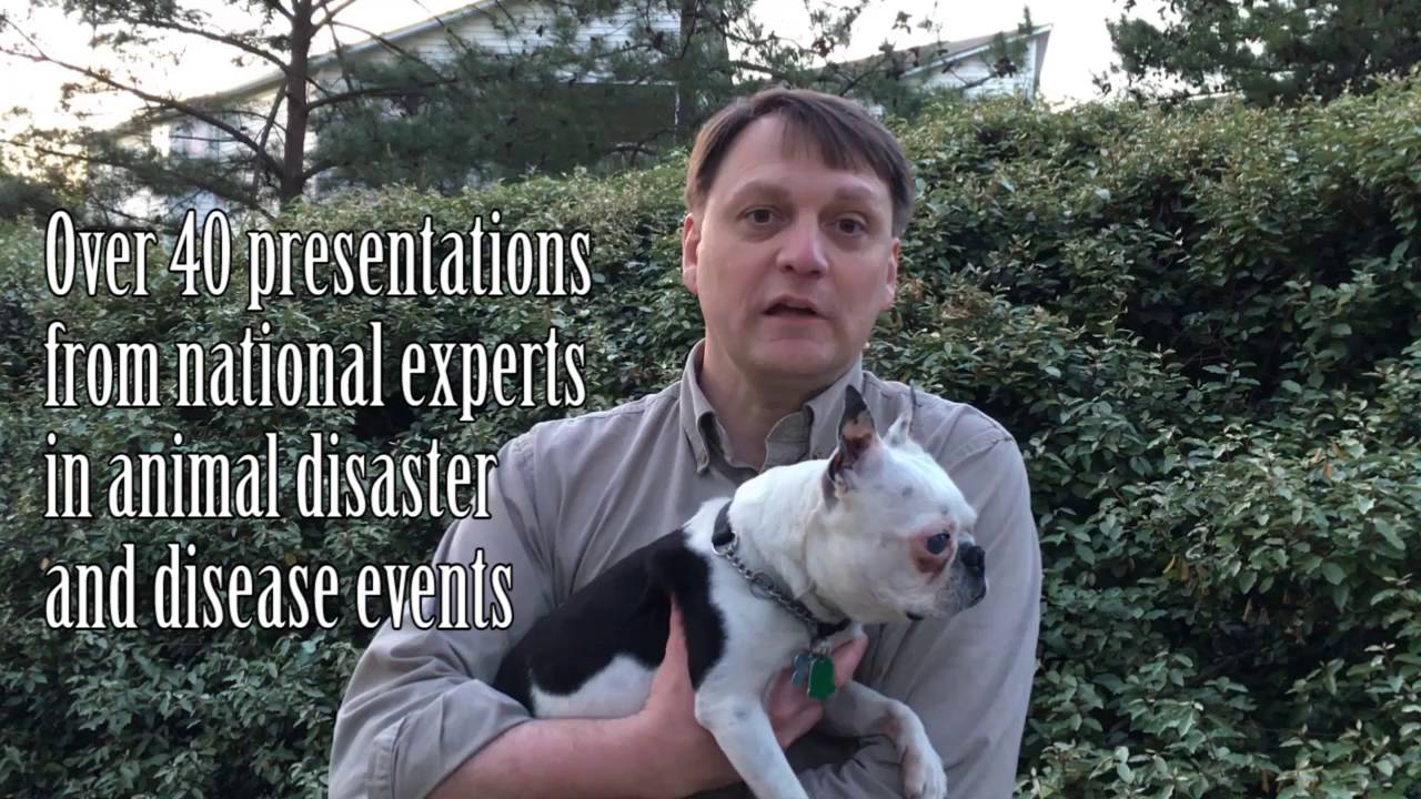 2016 NASAAEP Summit Invitation - YouTube