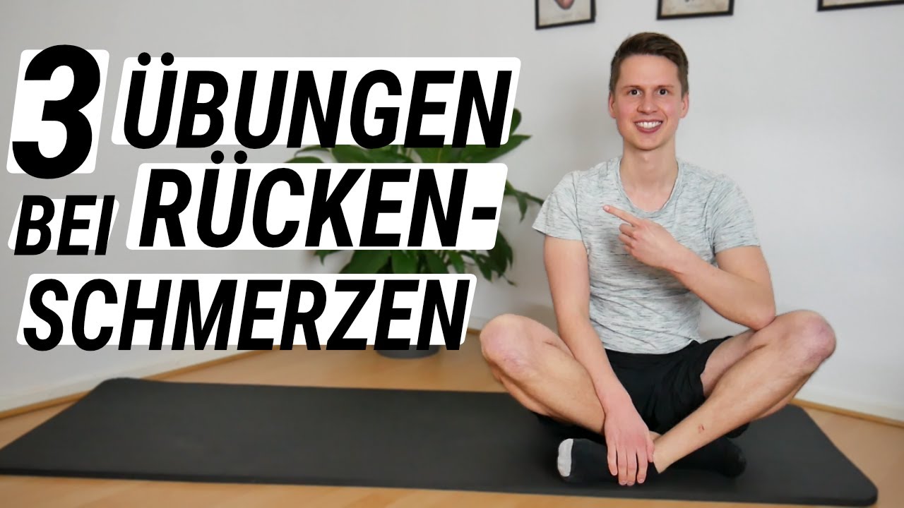 Rückenschmerzen Physiotherapie Übungen | Bei Protrusion, Bandscheibe ...
