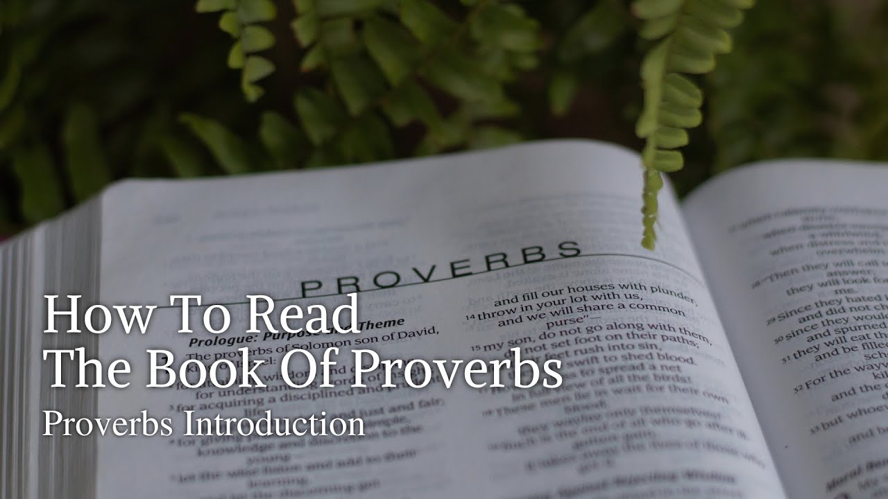 How To Read The Book Of Proverbs | Proverbs Introduction - YouTube