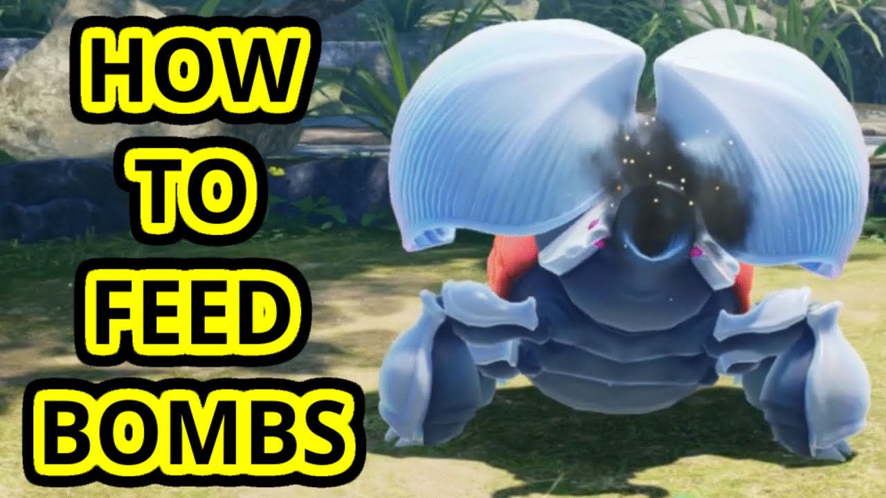 Arctic Cannon Beetle Eating Bombs - YouTube