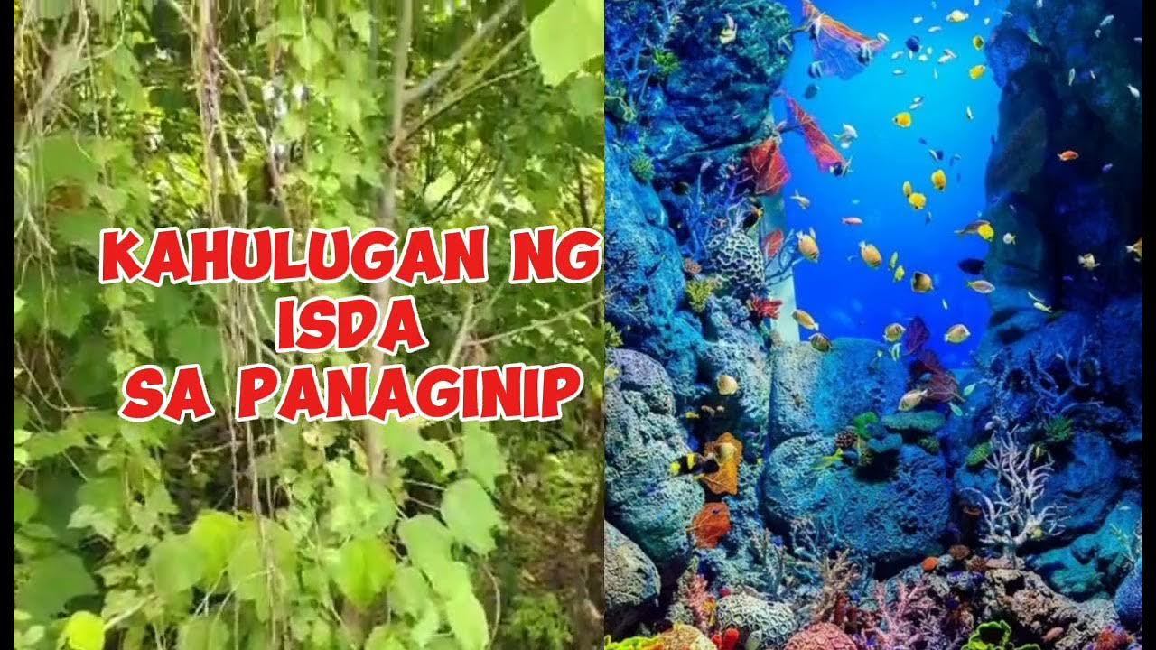 KAHULUGAN NG ISDA SA PANAGINIP - YouTube