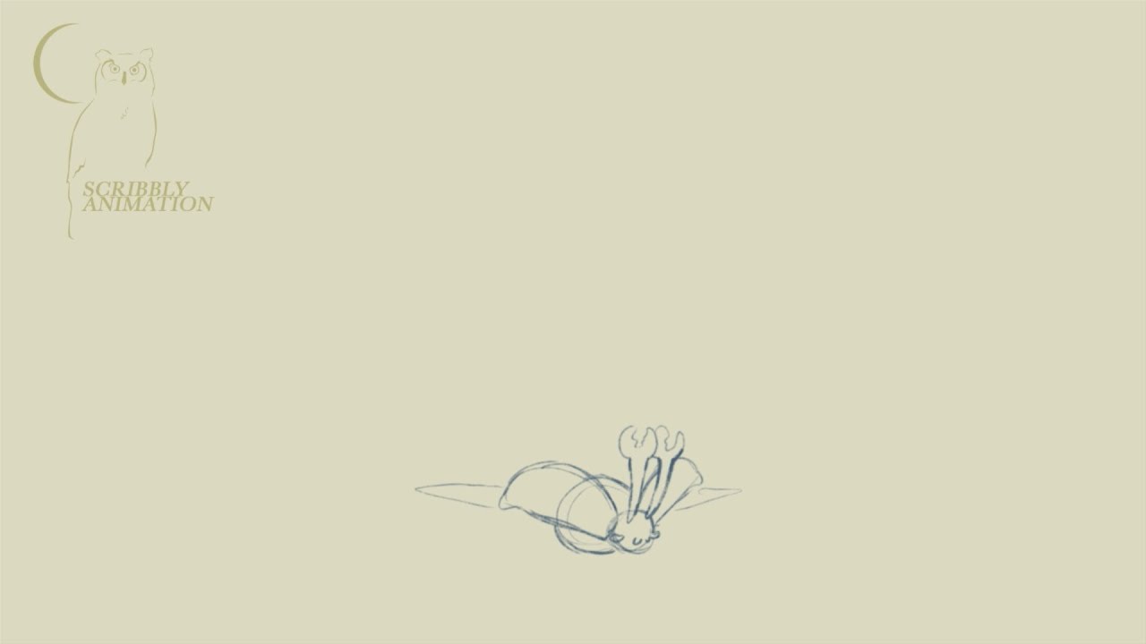 Flying Beetle - Rough Animation - YouTube