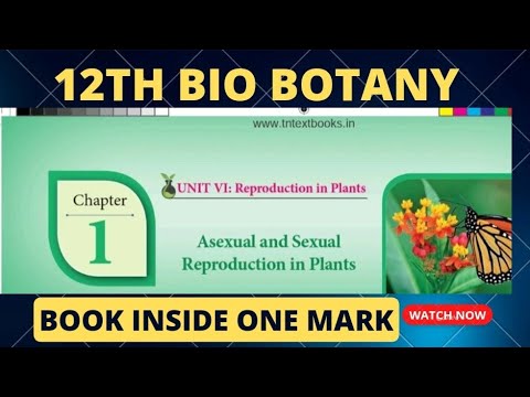 12th Bio Botany Book Inside One Marks| Important One Mark - YouTube