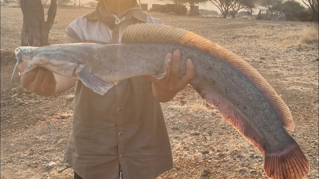 Caught some lovely fish in our first video and please stay tuned for ...