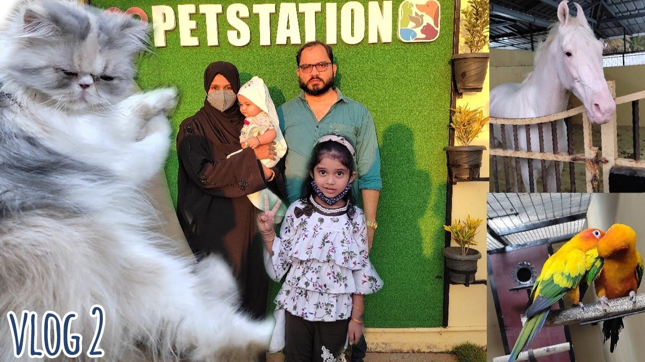 Kannur Pet Station Trip/ Vlog -3 / മാട്ടൂൽ Pet station ലേക്ക് ഒരു യാത്ര ...