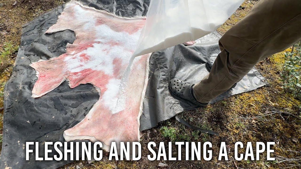 How to Flesh & Salt a Cape | Start to Finish - YouTube