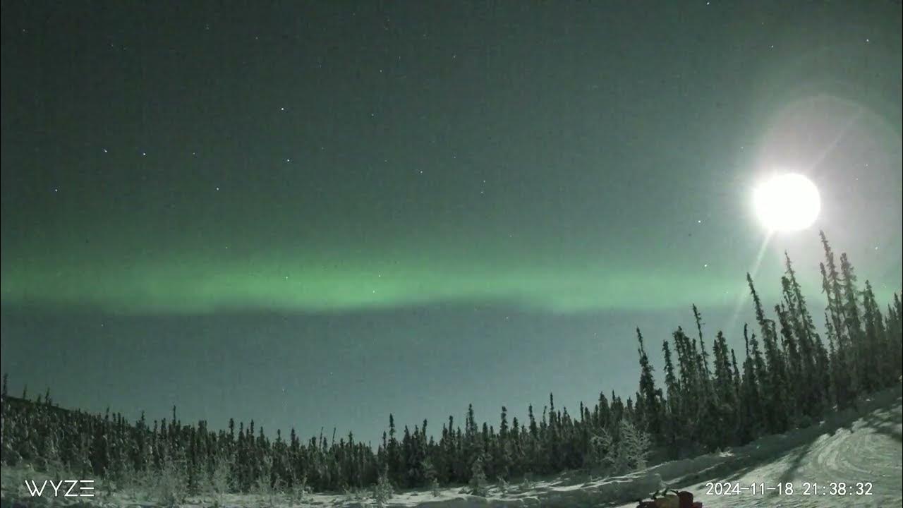November 18, 2024 aurora live cam timelapse - YouTube
