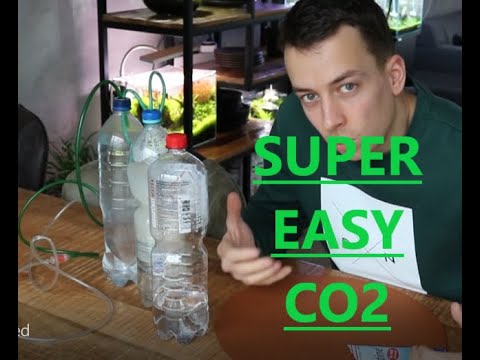 Cheap Low Budget CO2 System (DIY CO2) - YouTube