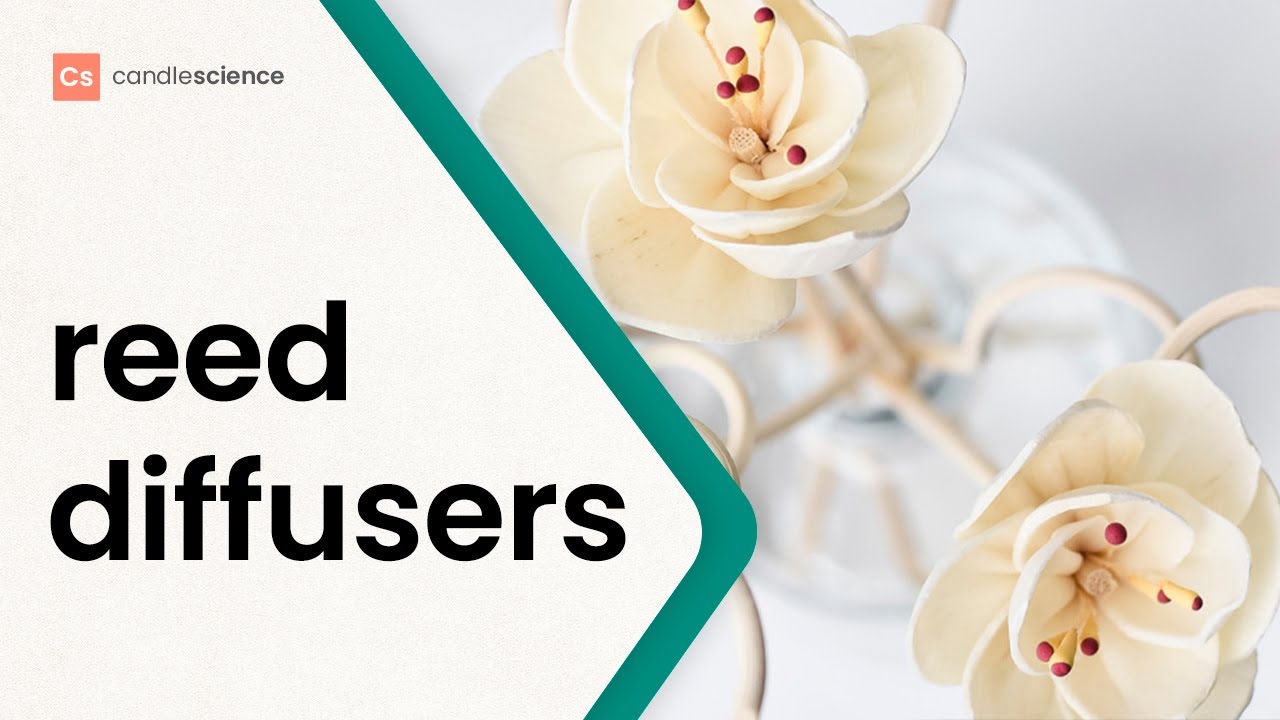 Reed Diffusers for Beginners: Everything you need to get started with ...