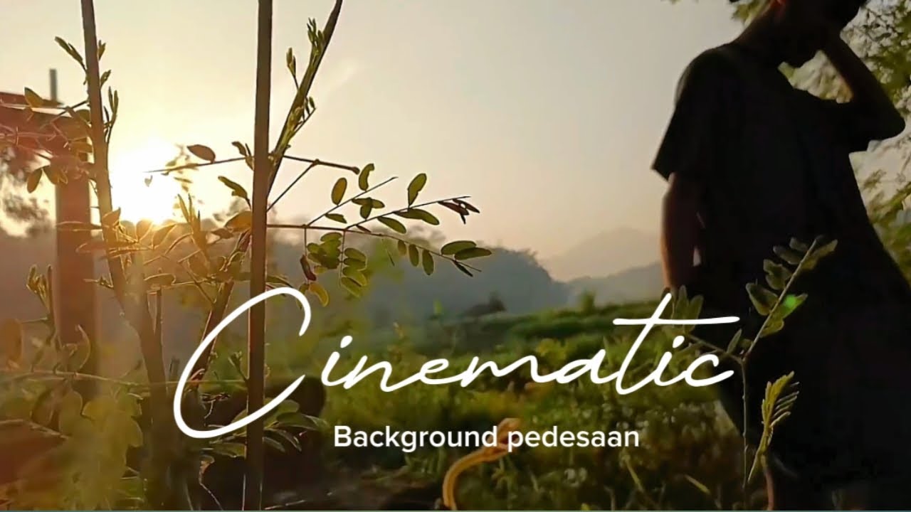 Healing di pedesaan, vidio project cinematic || CINEMATIC DESA - YouTube