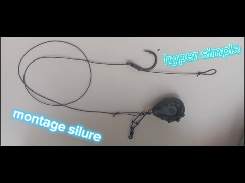 tuto montage silure a la viande au posé