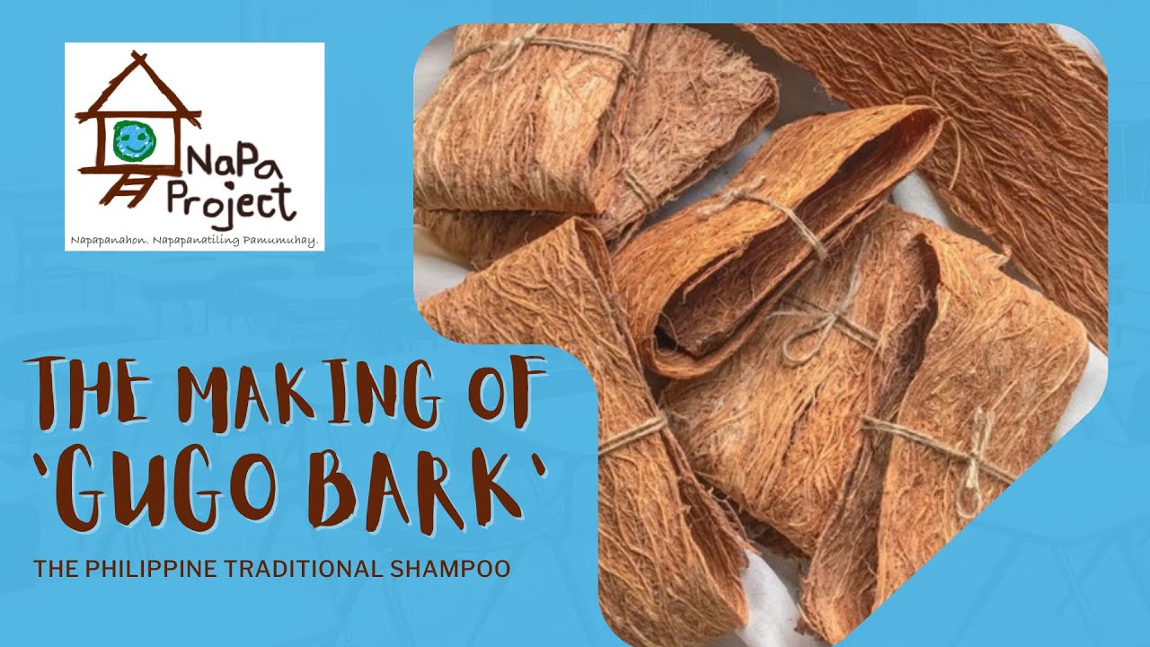 GUGO bark #shorts | Philippine Traditional Soap & Shampoo - YouTube