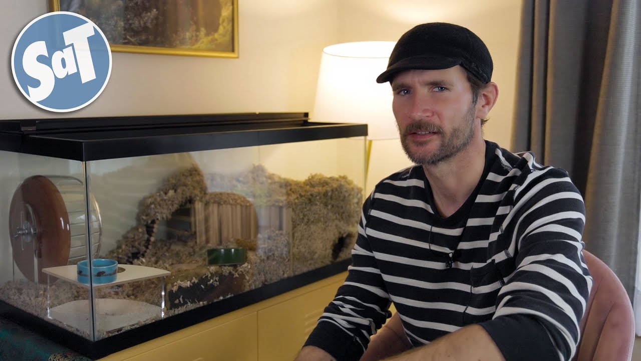 Sunday STUFFandTHINGS | 10/10/2021 | HOBBY OR CRAFT? + THE "JOYS" OF ...