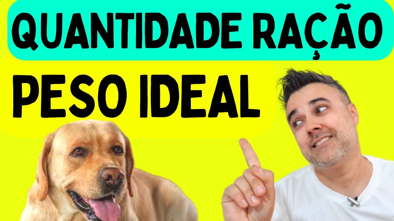 Qual PESO IDEAL Do Seu C o Qual QUANTIDADE CERTA DE RA O C es qual-peso-ideal-do-seu-c-o-qual-quantidade-certa-de-ra-o-c-es