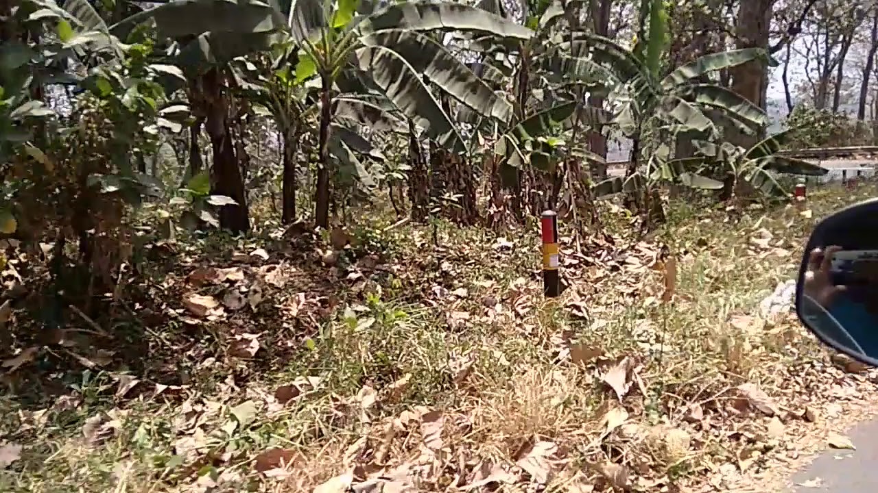 Jalan alas Roban batang jalan paling angker tikungan maut alas Roban ...