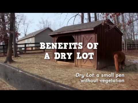Benefits of a Dry Lot for Horses - YouTube