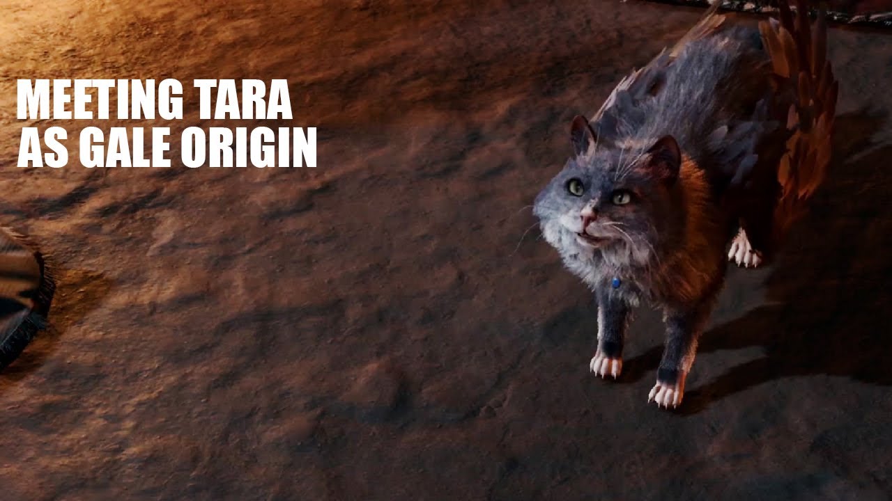 Gale origin meets Tara first time - YouTube