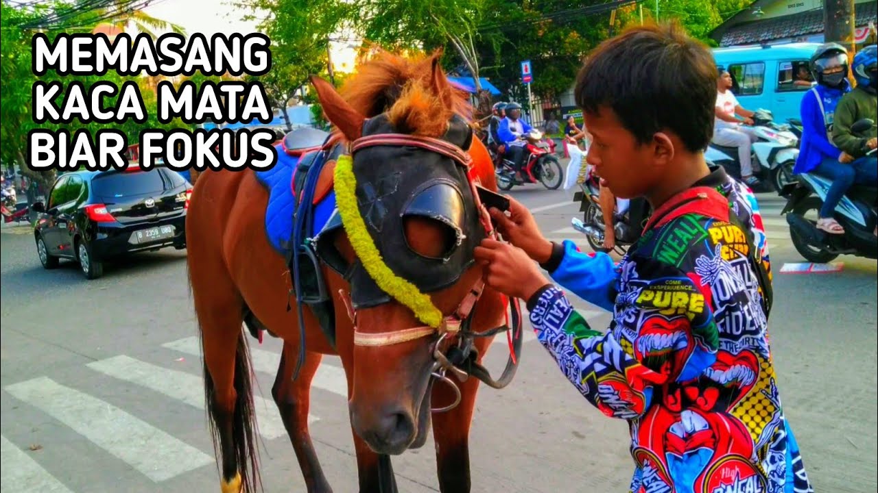 MEMASANG KACA MATA KUDA KLIWON BIAR FOKUS ~ LAGU KUDA DELMAN LIRIK TAYO ...