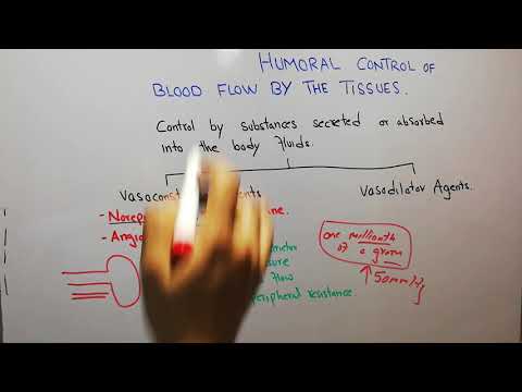 CVS physiology 108. Angiotensin 2, Role in humoral control of blood ...