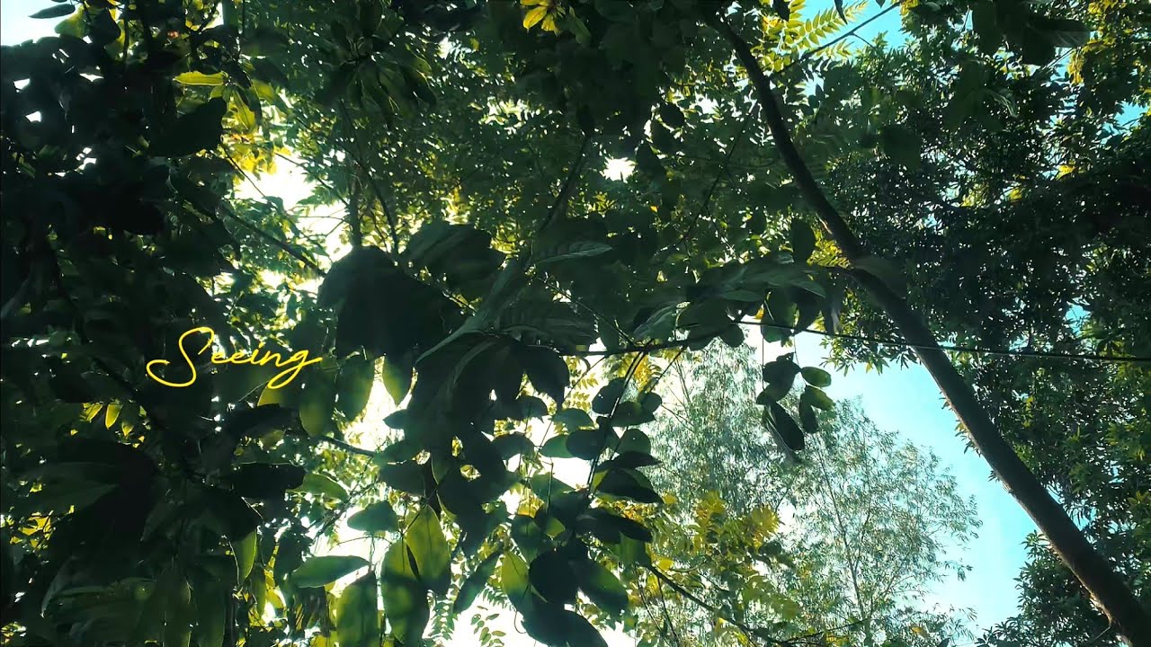 Seeing Nature Cinematic Video | Beautiful Nature Video - YouTube