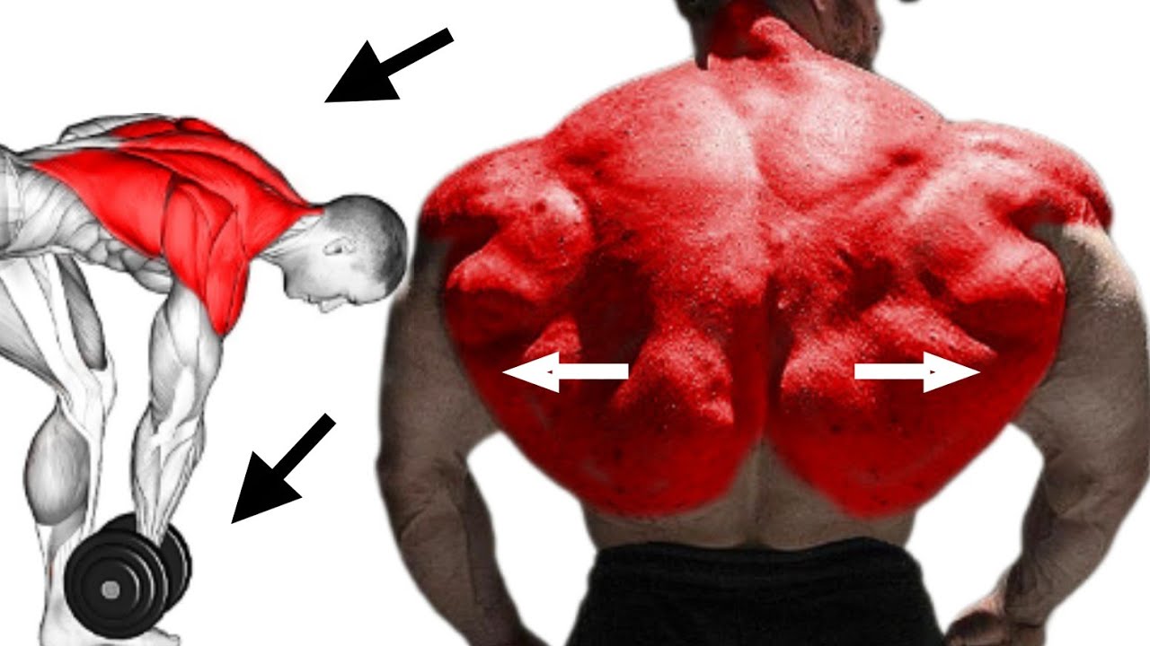 Most Perfect Back Workout You Need To Try - YouTube