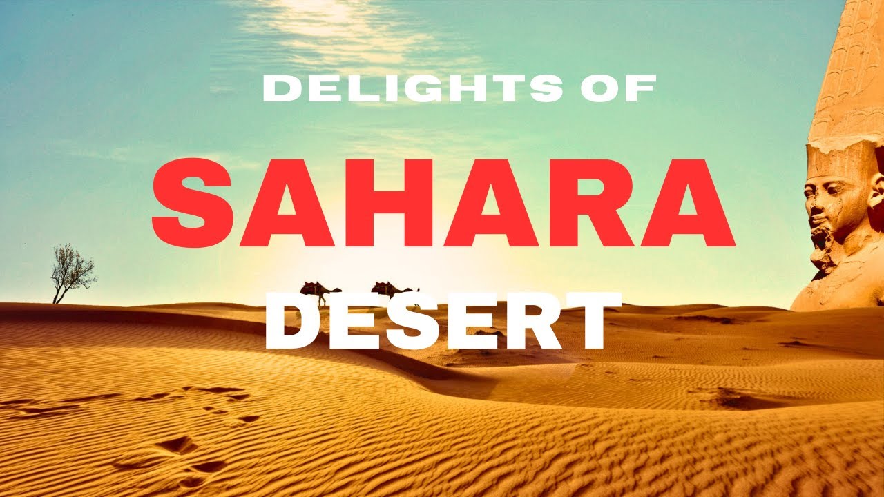 Discover the Magic of SAHARA DESERT ! | SCENIC RELAXATION VIDEOS 4K ...