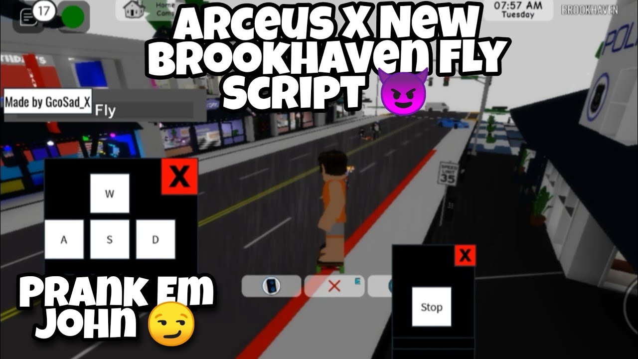 Arceus X New Brookhaven Fly Script 😱 - YouTube