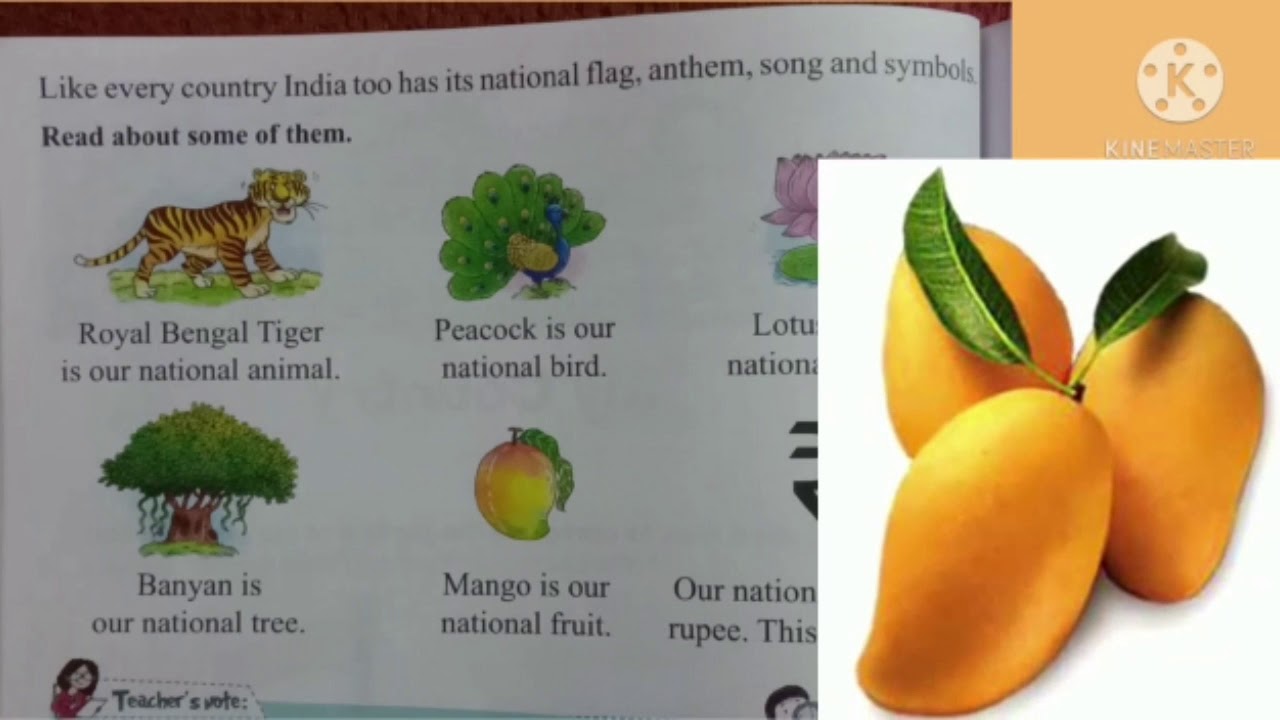 My Country (Lesson - 13) EVS (Class - I - YouTube