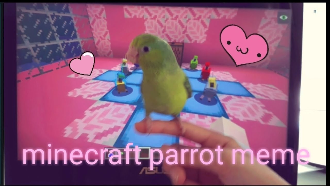 minecraft parrot meme - YouTube