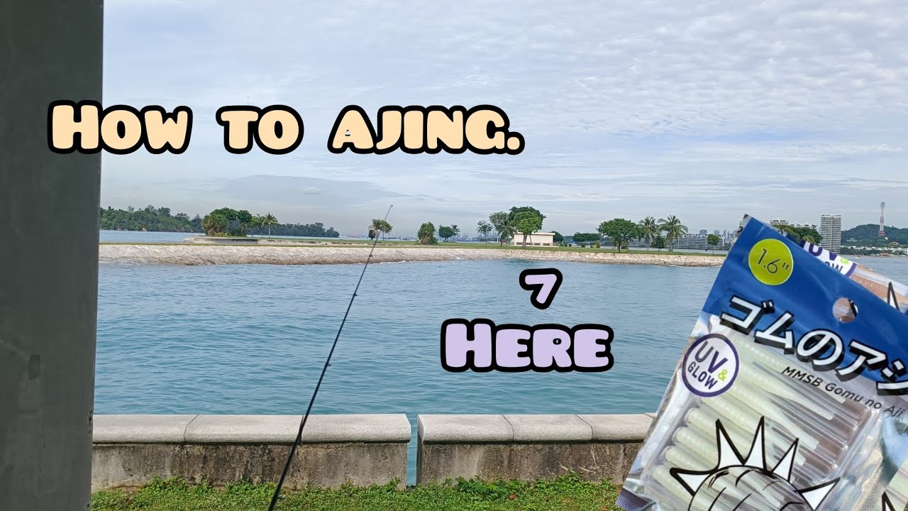 Learning HOW TO AJING at a lesser known area? | Singapore fishing - YouTube