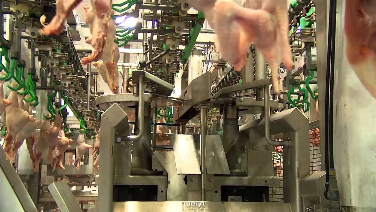 Meyn® Front Quarter cutter - YouTube