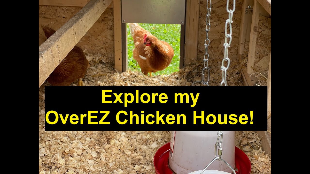 OverEZ chicken coop Fall Update and Impressions! - YouTube