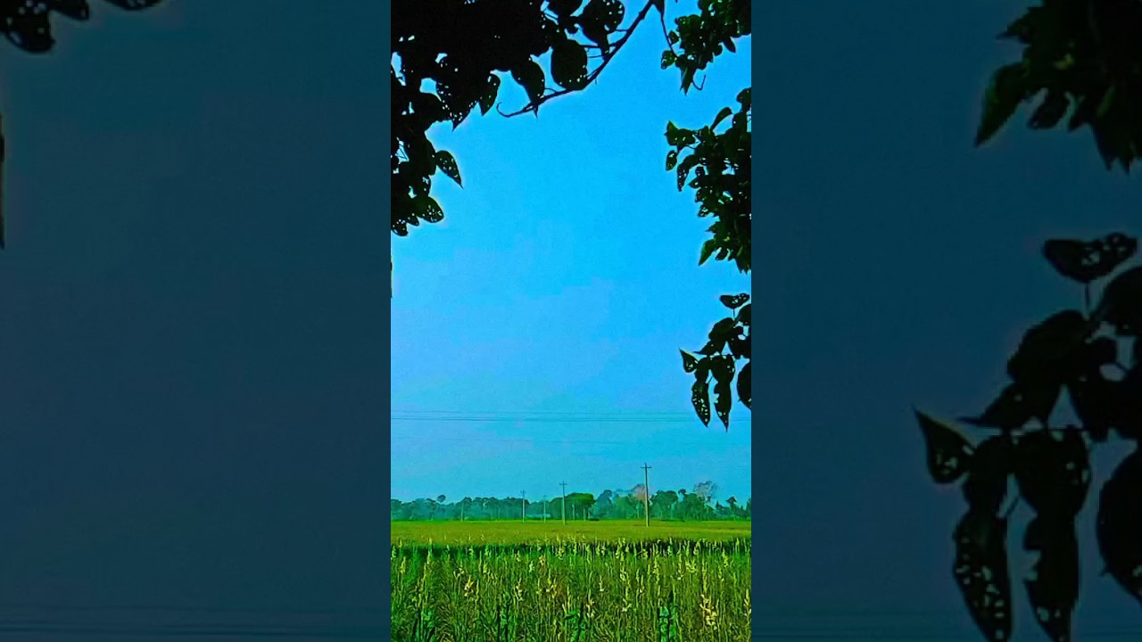 tu tu tu ru ru ru rti rti song#🎧🌿😯🌿🎧#subscribe #nature #song #y# ...