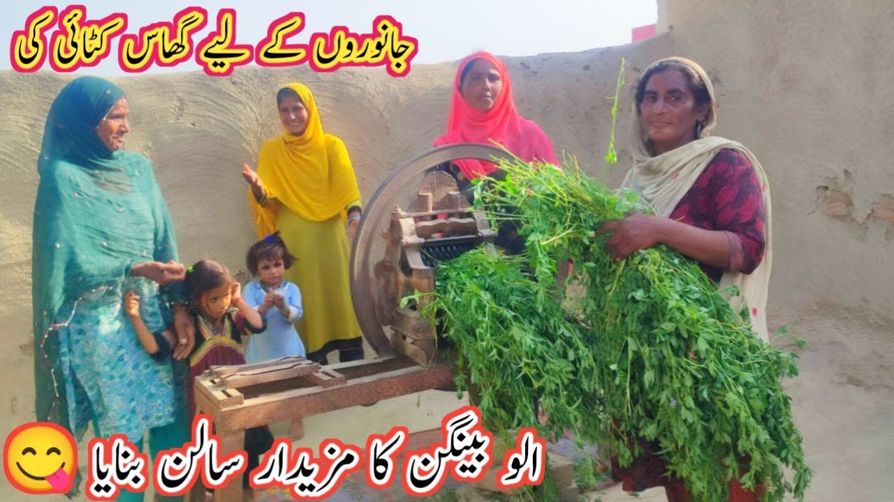 Ghash Ki Katai Ki Allu Bagan Ka Mazydar Salan Bnaya 😋 - YouTube