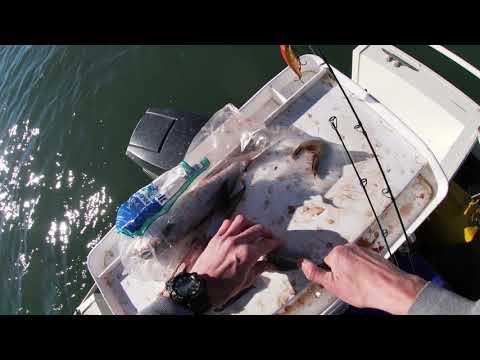 Jumpinpin fishing and crabbing - YouTube