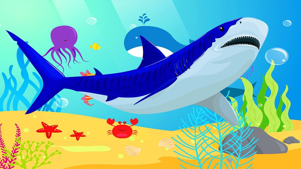 EL TIBURÓN ! APRENDIENDO CON LORENZOO EL LEÓN VIDEO EDUCATIVO PARA ...