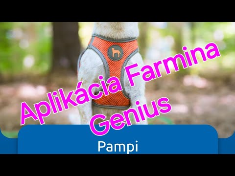 Ako Pampi zadávala údaje do appky Farmina Genius